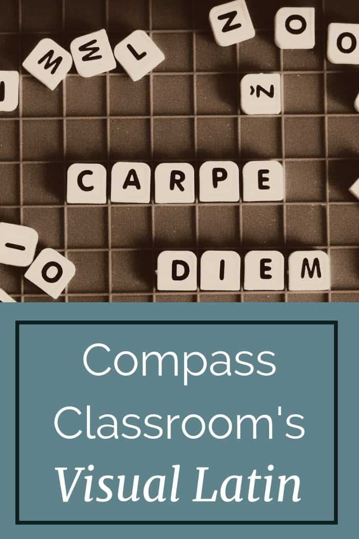 Our Top 5 Curriculum Choices - Captivating Compass