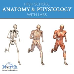 High School PE Curriculum: Home School Phys Ed & Health